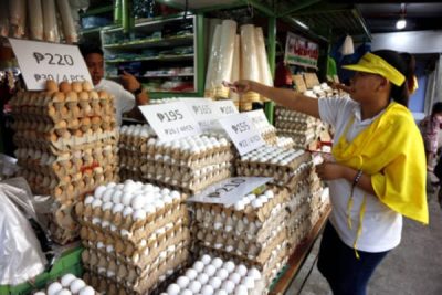 510+ Egg Business Names for Cracking a New Company