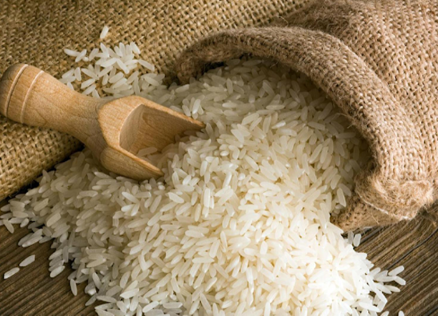 101 Of The Most Creative Rice Company Name Ideas Ever