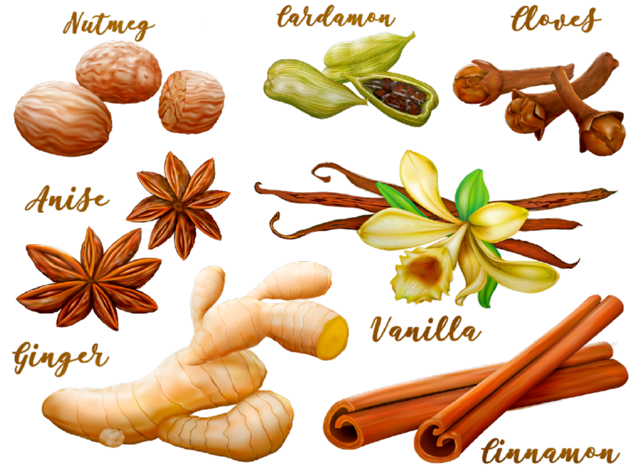 150 Disruptive Spice Business Brand Name Ideas