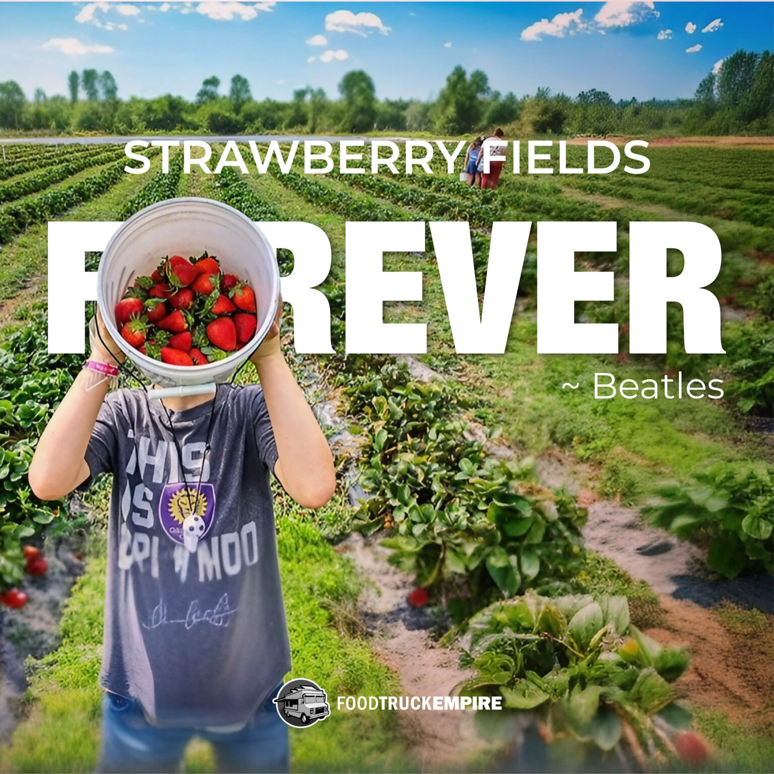 181+ Catchy Strawberry Quotes and Captions for Instagram
