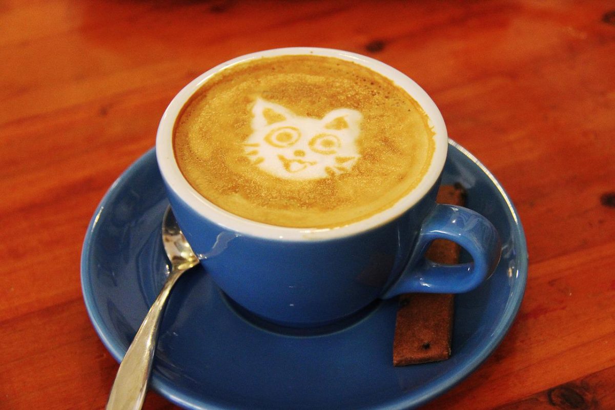 601-meow-worthy-cat-cafe-name-ideas-you-ll-love