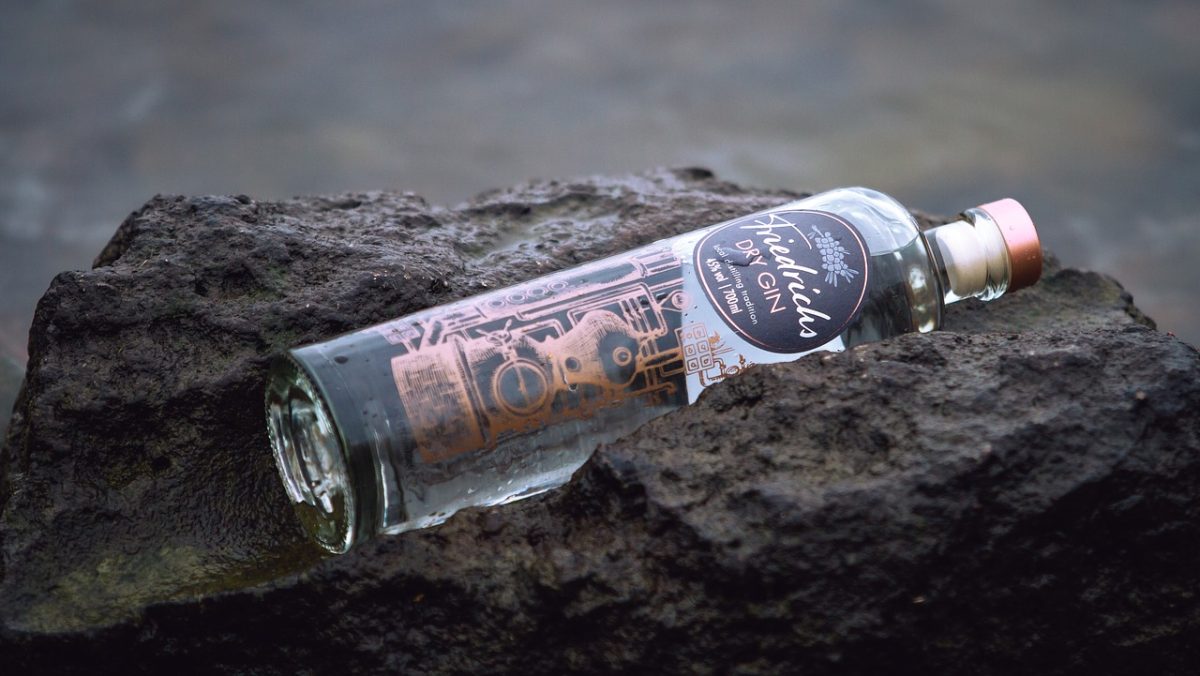 200+ Clever Gin Captions and Quotes For Good Times and Bad