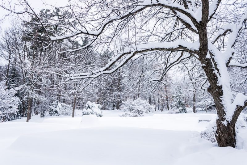 211+ Best Performing Winter Advertising Slogans (2022 Update)