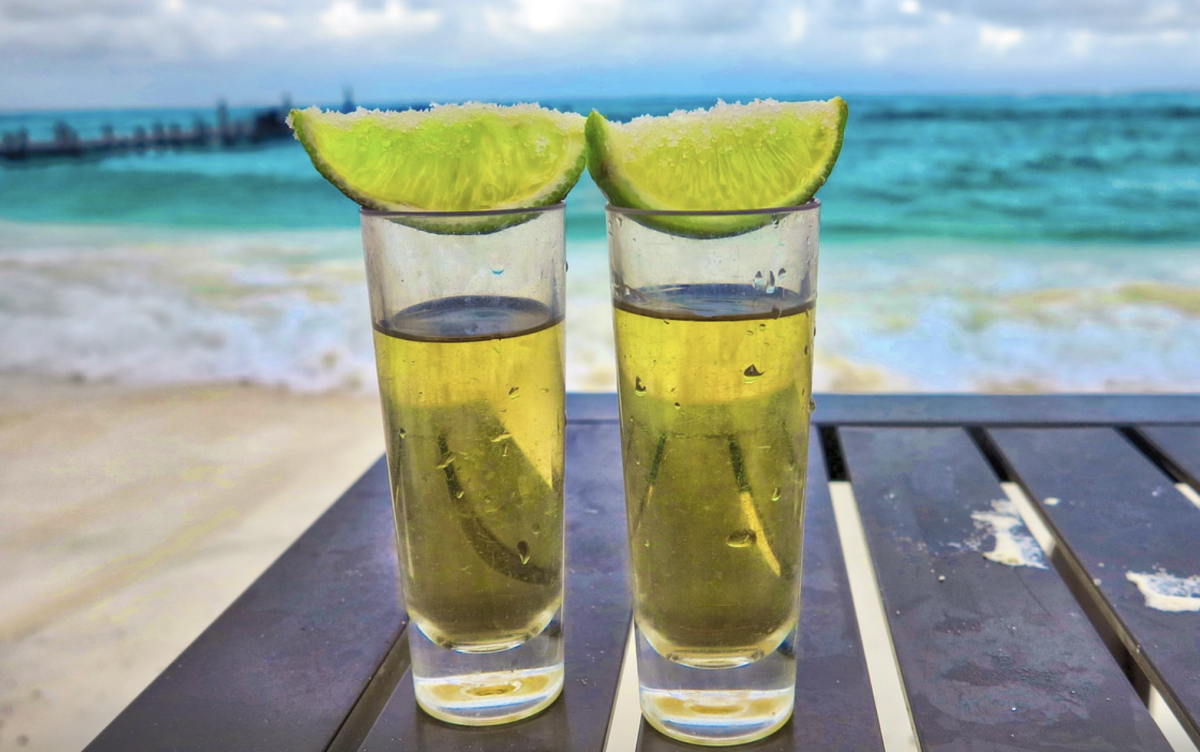 155+ Funny Tequila Captions and Quotes You Can't Forget