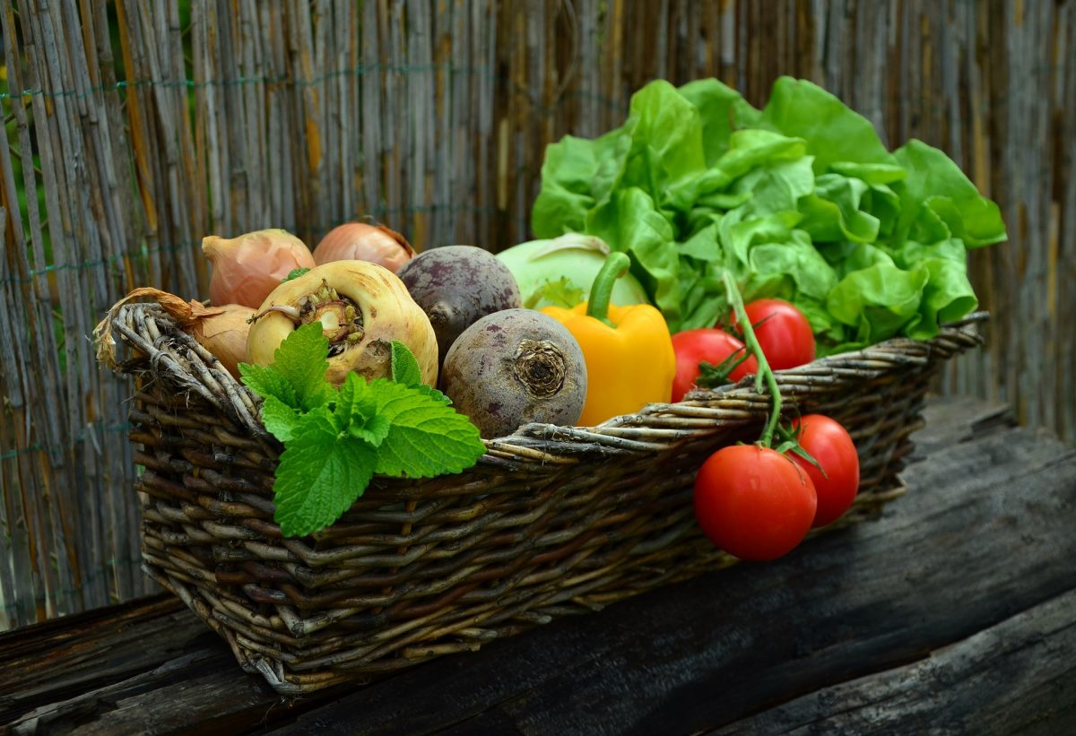 201+ Organic Vegetable Marketing Slogans and Caption Ideas