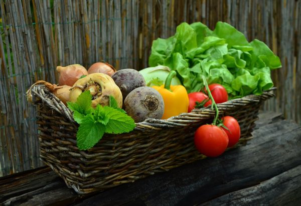 201+ Organic Vegetable Marketing Slogans and Caption Ideas